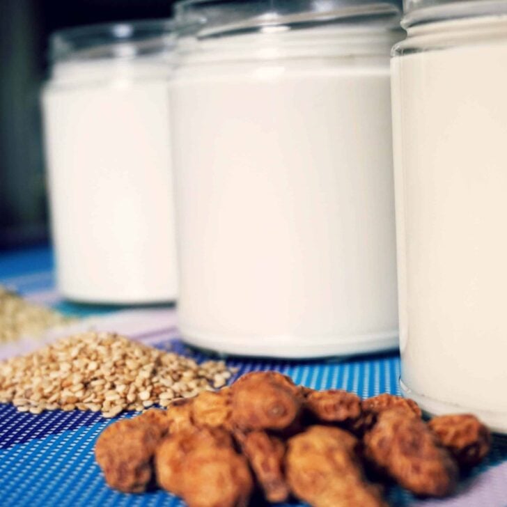 Dairy Free Nut Free Milk Alternatives