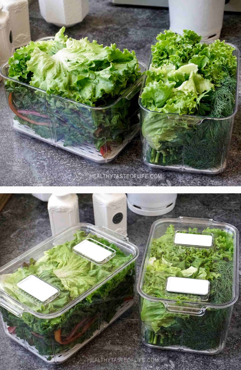 Meal Prepping Vegetables: How to Keep Veggies Fresh Longer
