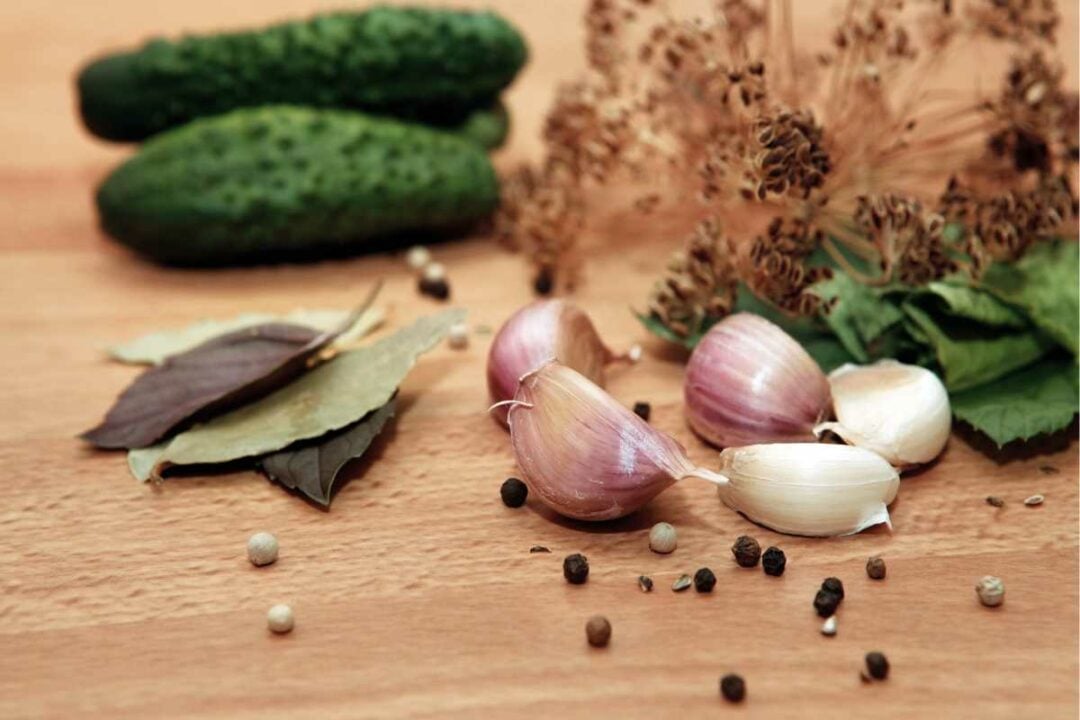 Fermented Cucumbers Recipe (Dill Pickles) No Vinegar