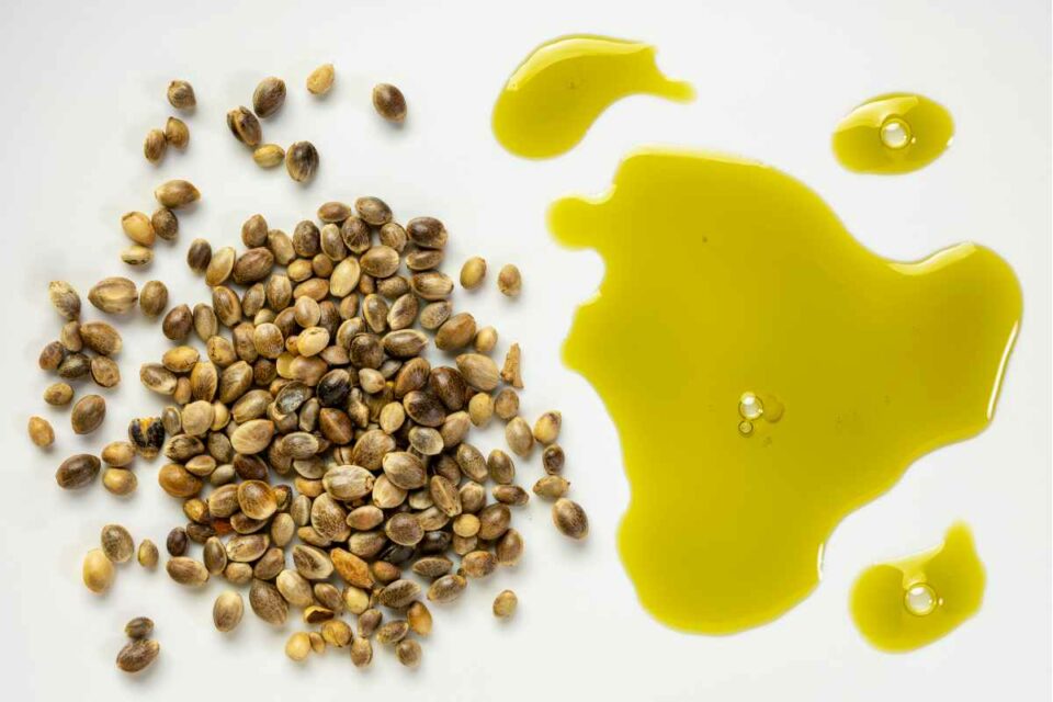 The Difference Between Hemp Oil and CBD Oil Explained