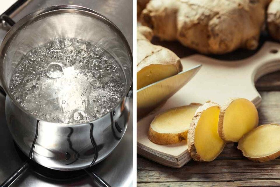 Make Ginger Water The Right Way: Benefits And Drinking Tips